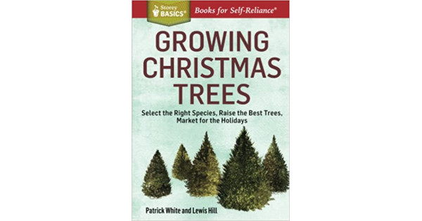 Growing Christmas Trees - Ferguson Tree Nursery